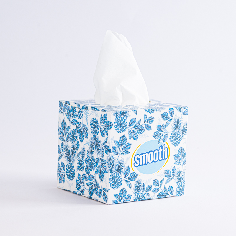 Smooth Facial Tissue Cube Box – 80 Tissues – Andre Distribution ...