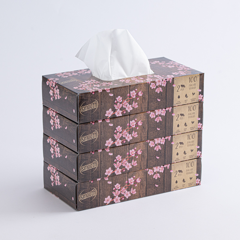 Smooth Facial Tissue Box – 100 Tissues – Andre Distribution – Hygienic ...